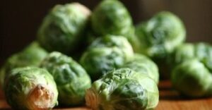 Home - Driessen Food