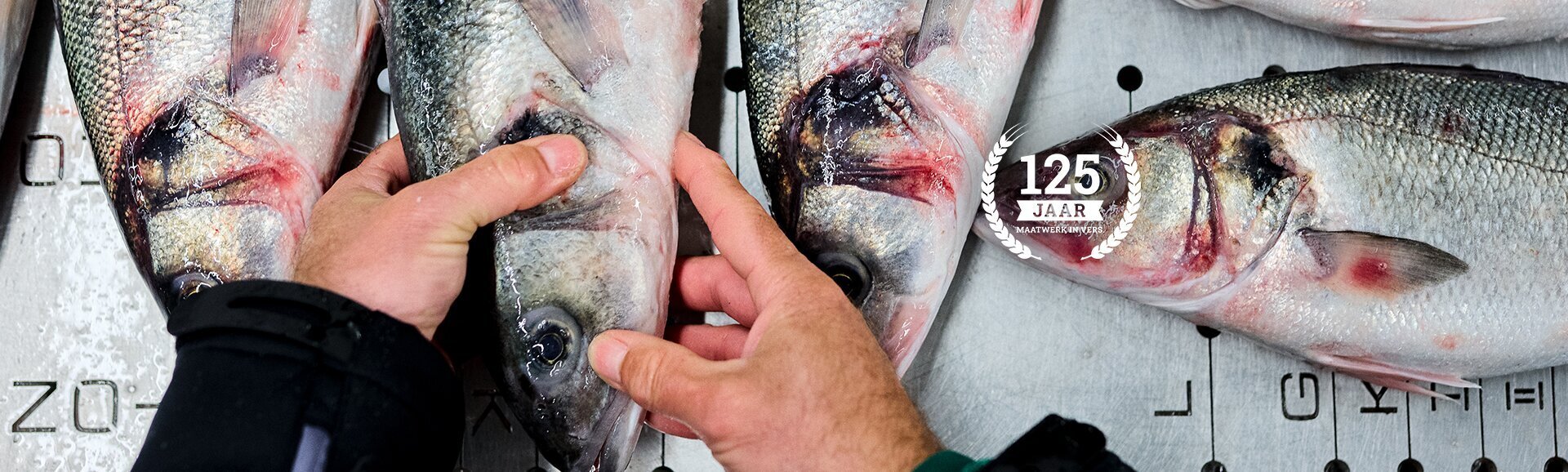 Home - Driessen Food