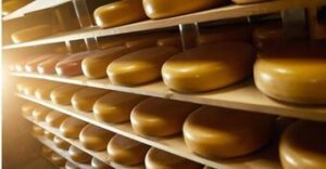 Driessen Food – Versspecialist voor Horeca & Retail